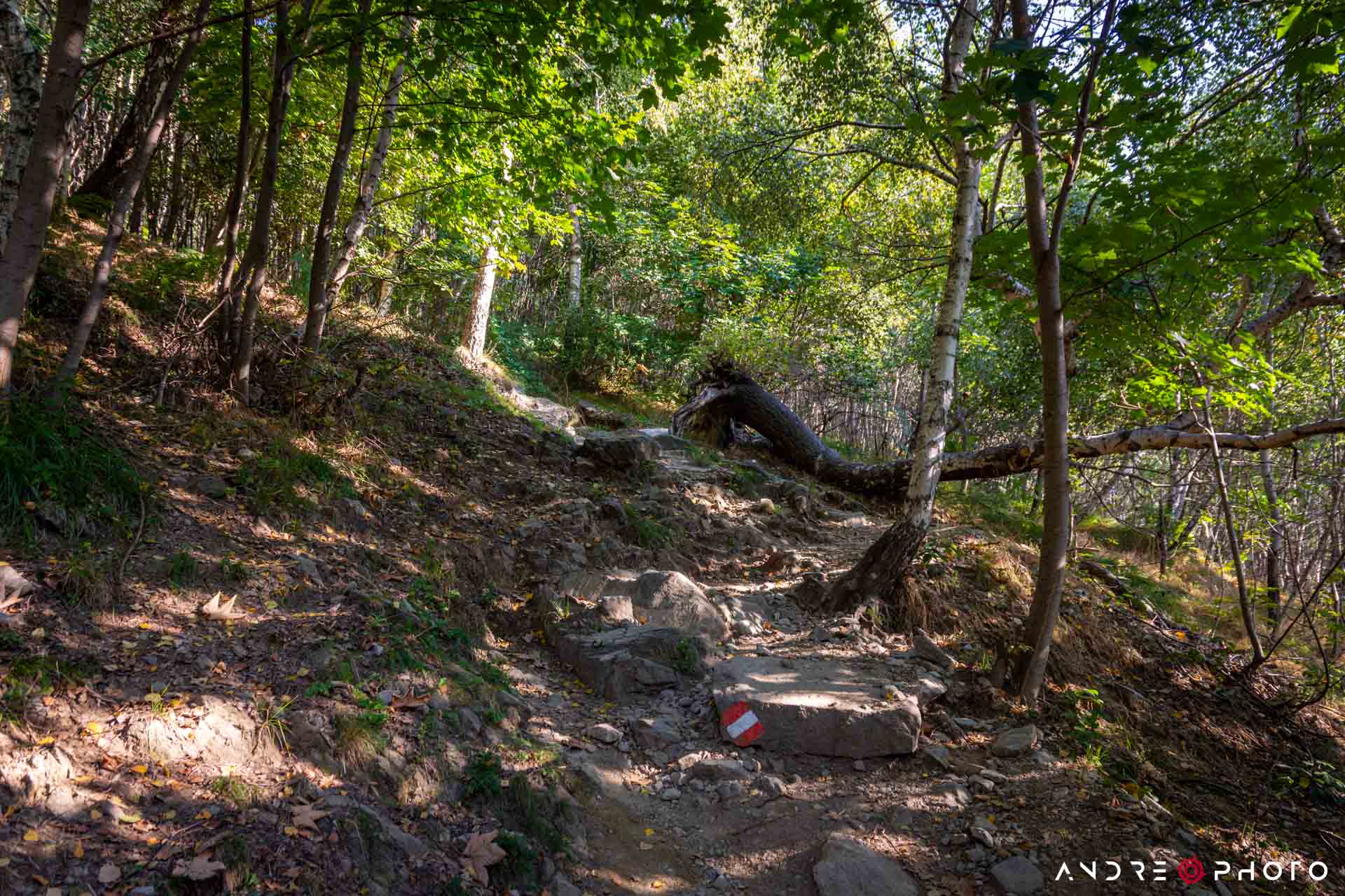 Monte Grona: Ferrata del Centenario C.A.O. - Andre Photo